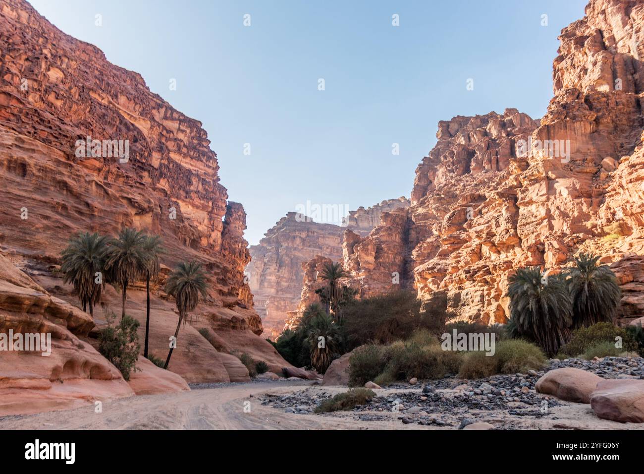 View of Wadi Disah canyon, Saudi Arabia Stock Photo - Alamy