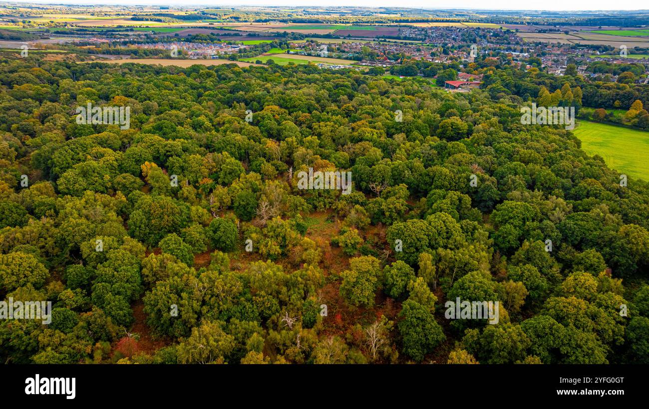 The village of Edwinstowe in the midst of Sherwood Forest ...