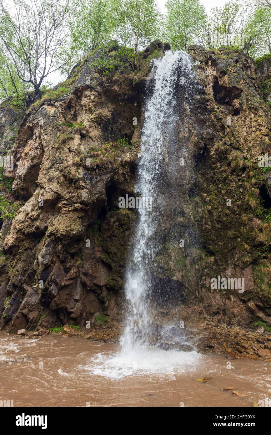 Honey waterfalls on a summer day, vertical photography. This is a group ...
