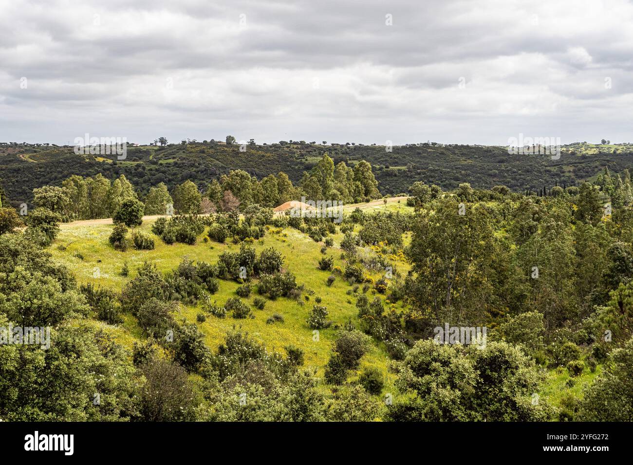 Beautiful landscape with wildflower meadows, rivers and waterfalls in ...