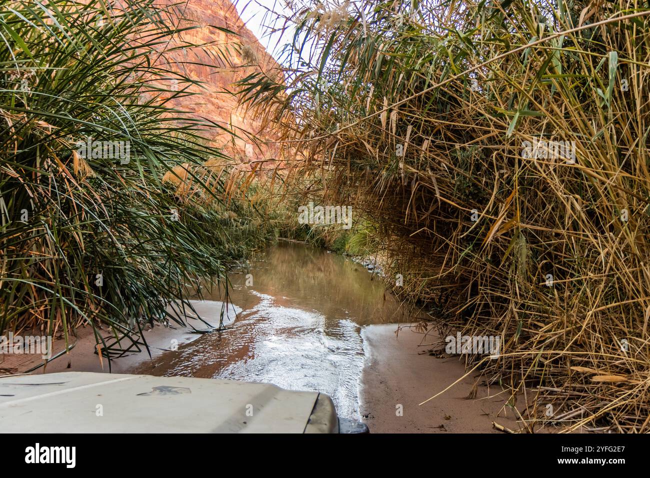 Saudi road crossing hi-res stock photography and images - Alamy