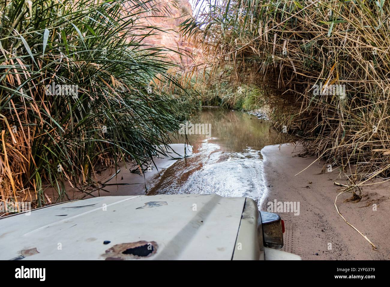 Track through reeds in Wadi Disah canyon, Saudi Arabia Stock Photo - Alamy