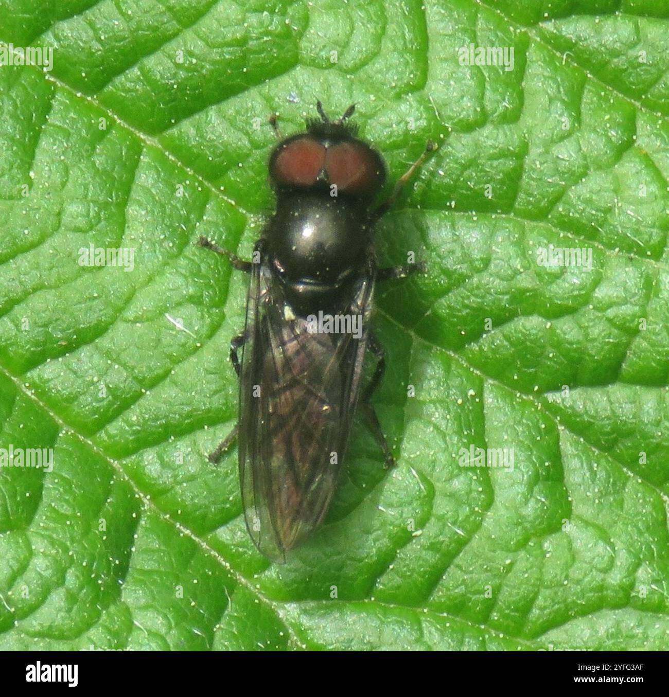 Pitheads hi-res stock photography and images - Alamy