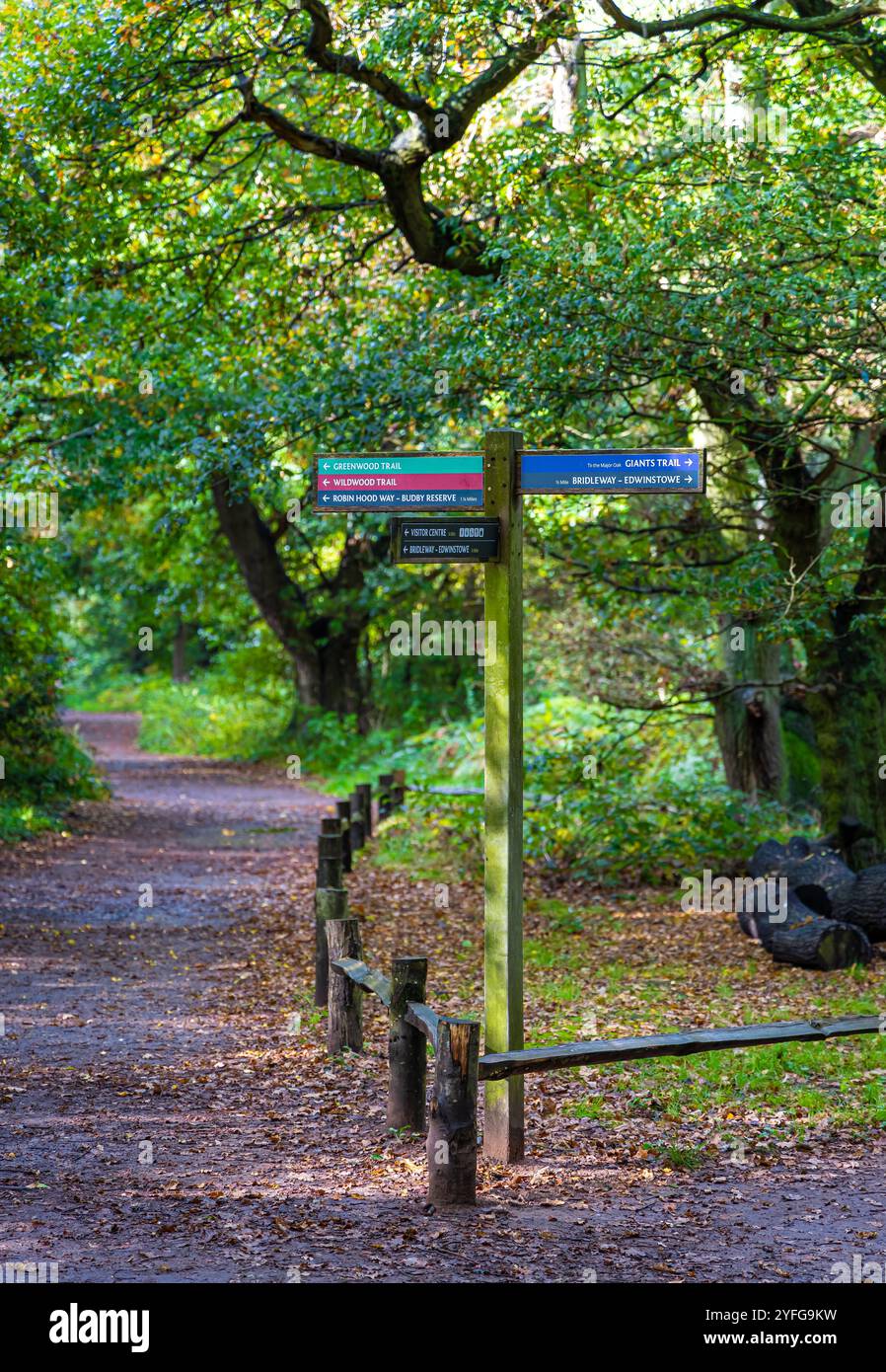 The village of Edwinstowe in the midst of Sherwood Forest ...