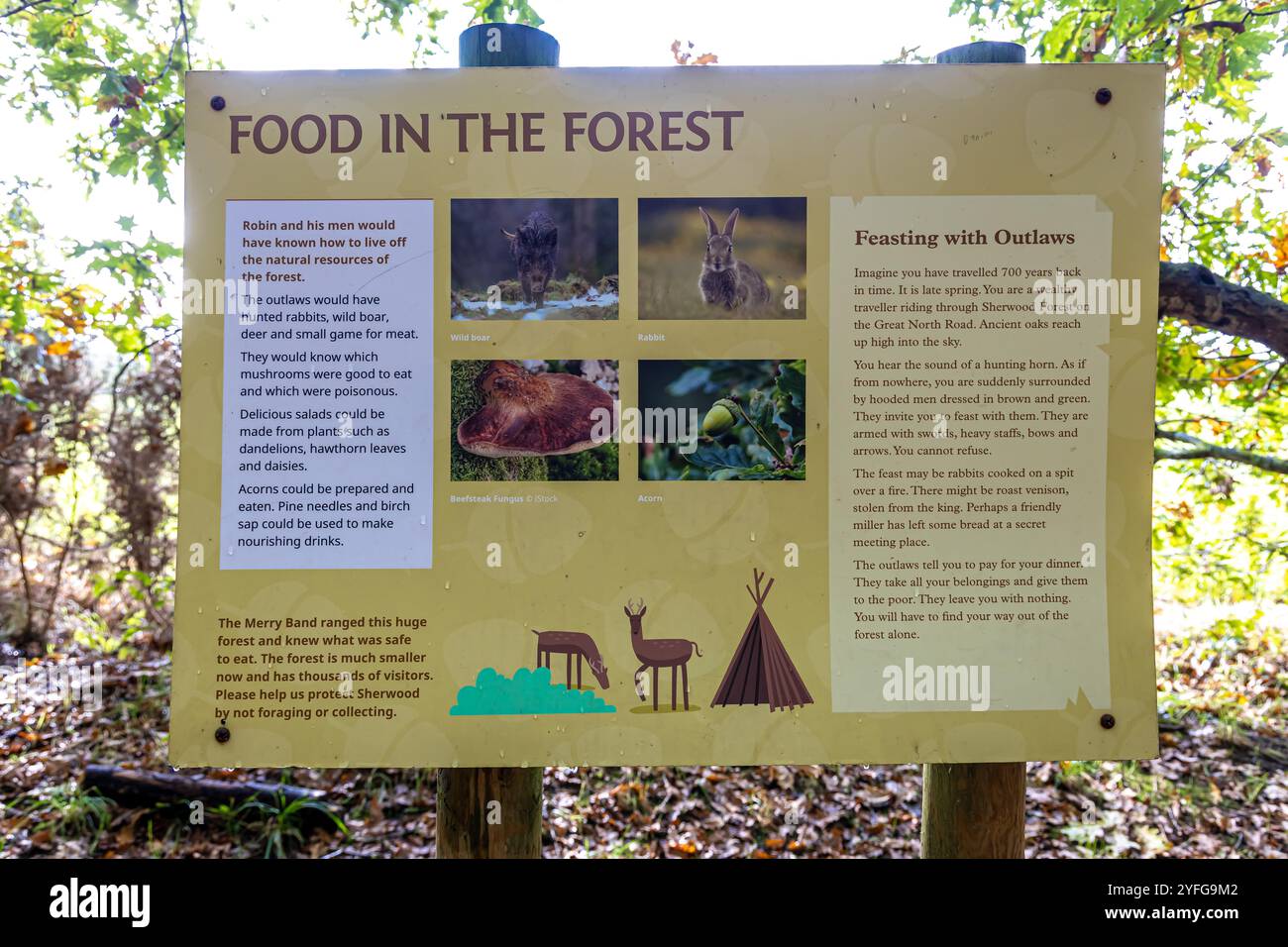 The village of Edwinstowe in the midst of Sherwood Forest ...