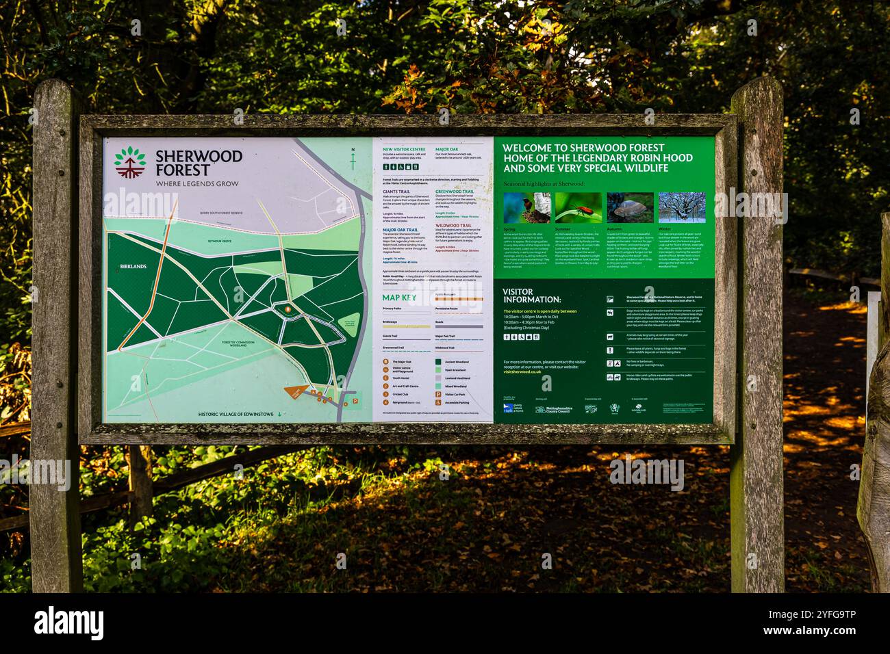 The village of Edwinstowe in the midst of Sherwood Forest ...