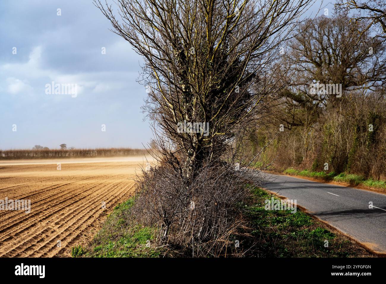 Strong road hi-res stock photography and images - Alamy