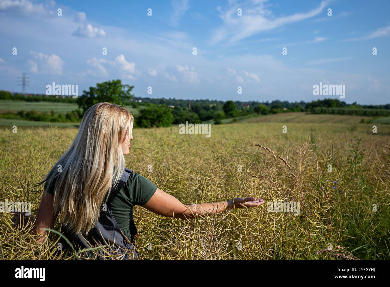Radiant scene depicts hi-res stock photography and images - Alamy