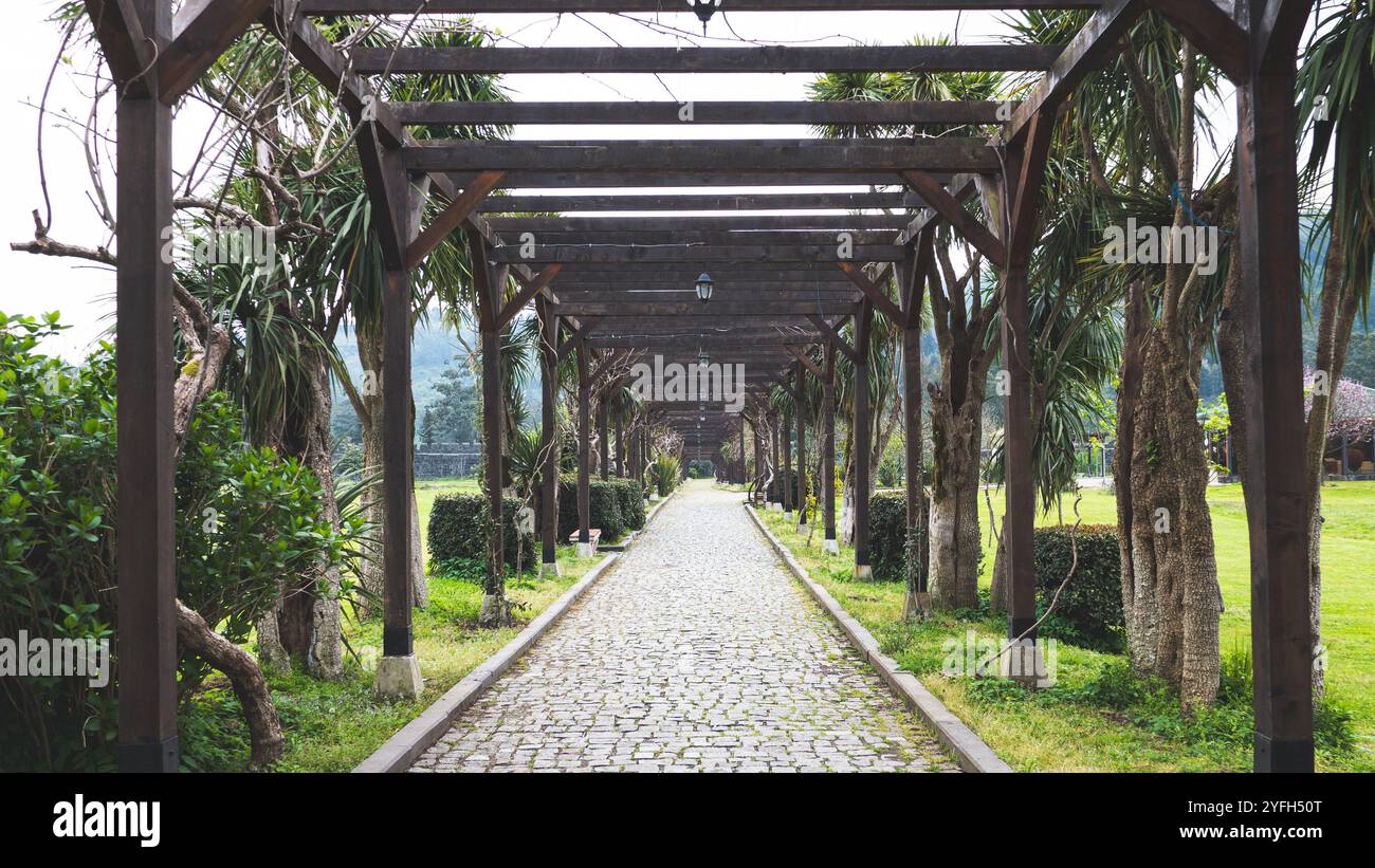 A path walking leading through park forest green trees plants around ...