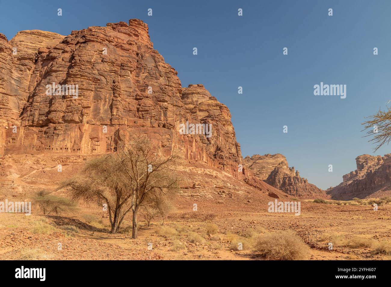 Lion tombs of dadan hi-res stock photography and images - Alamy