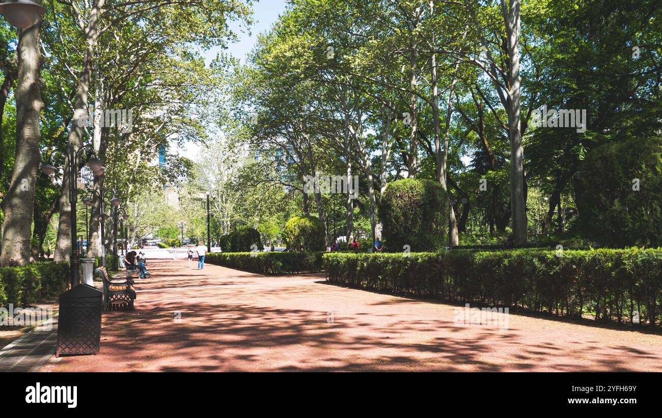 A path walking leading through park forest green trees plants around ...