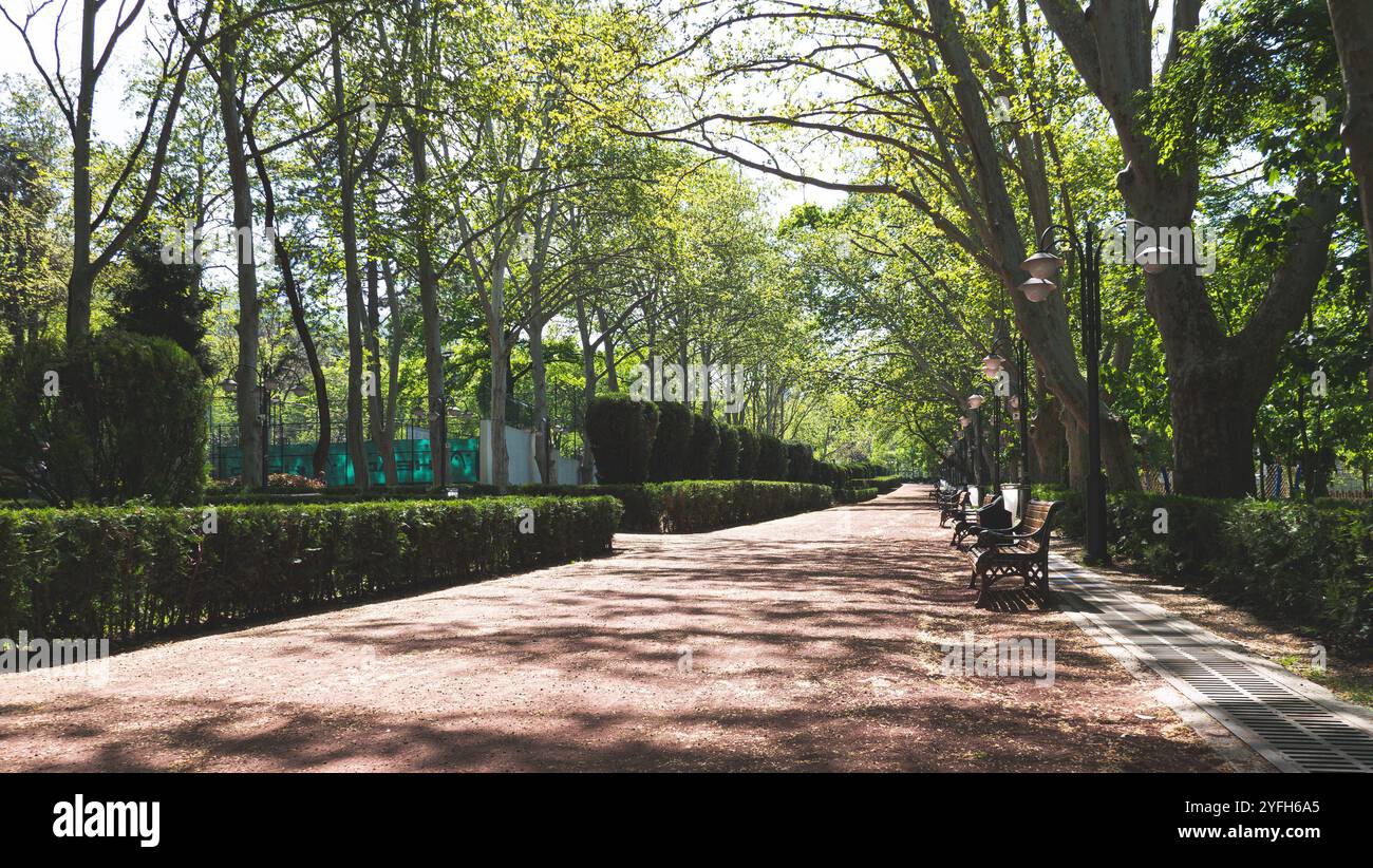 A path walking leading through park forest green trees plants around ...