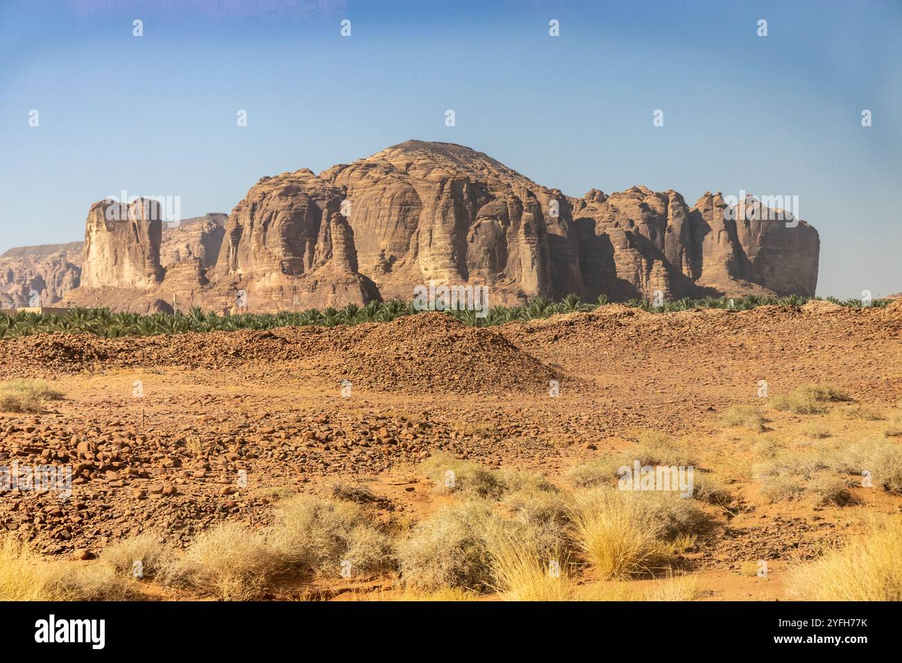 Dadan saudi arabia hi-res stock photography and images - Alamy