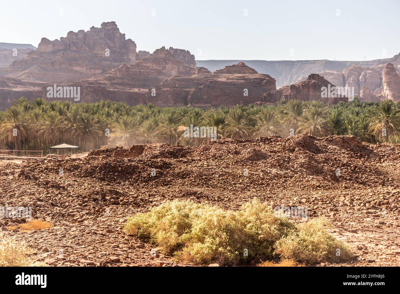 Dadan saudi arabia hi-res stock photography and images - Alamy