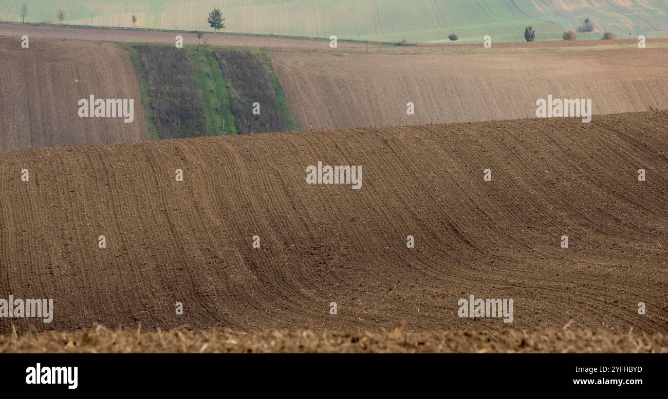 Undulating arable agricultural landscape, photographed in autumn in ...