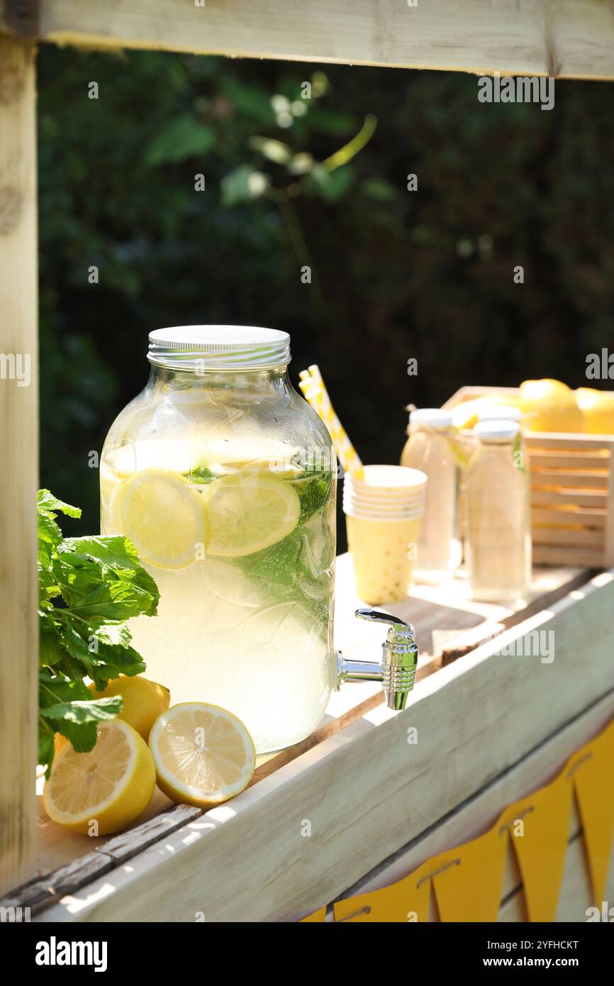 Lemonade stand with refreshing drink, fresh fruits and mint in park ...