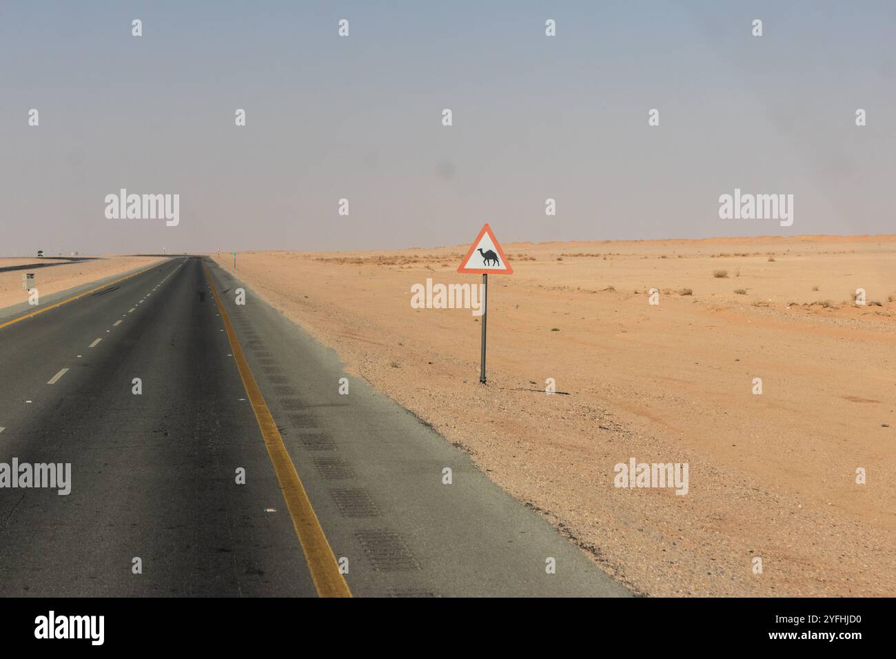 Camel warning sign on a highway in Saudi Arabia Stock Photo - Alamy