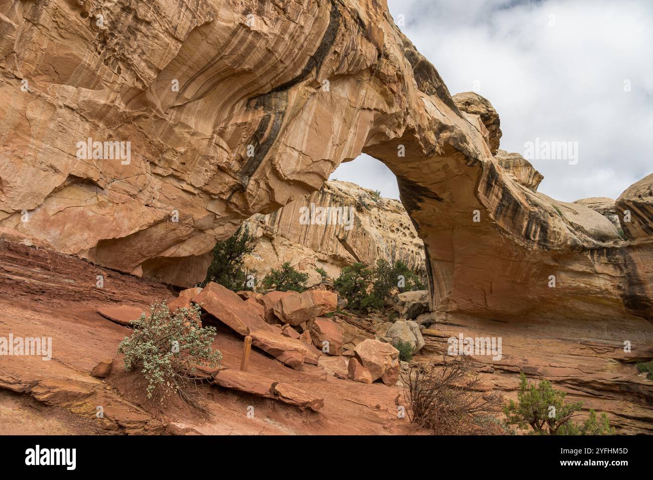 Hickman Bridge, a natural sandstone arch in the Capitol Reef National ...