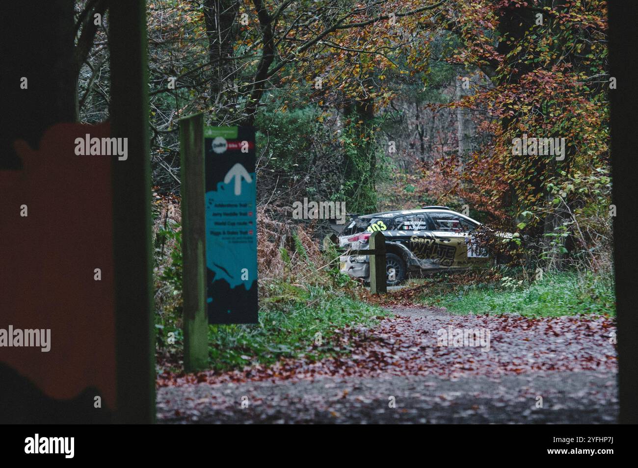 Kyle White & Anthony Nestor during Malton Forest Rally hosted by Malton ...