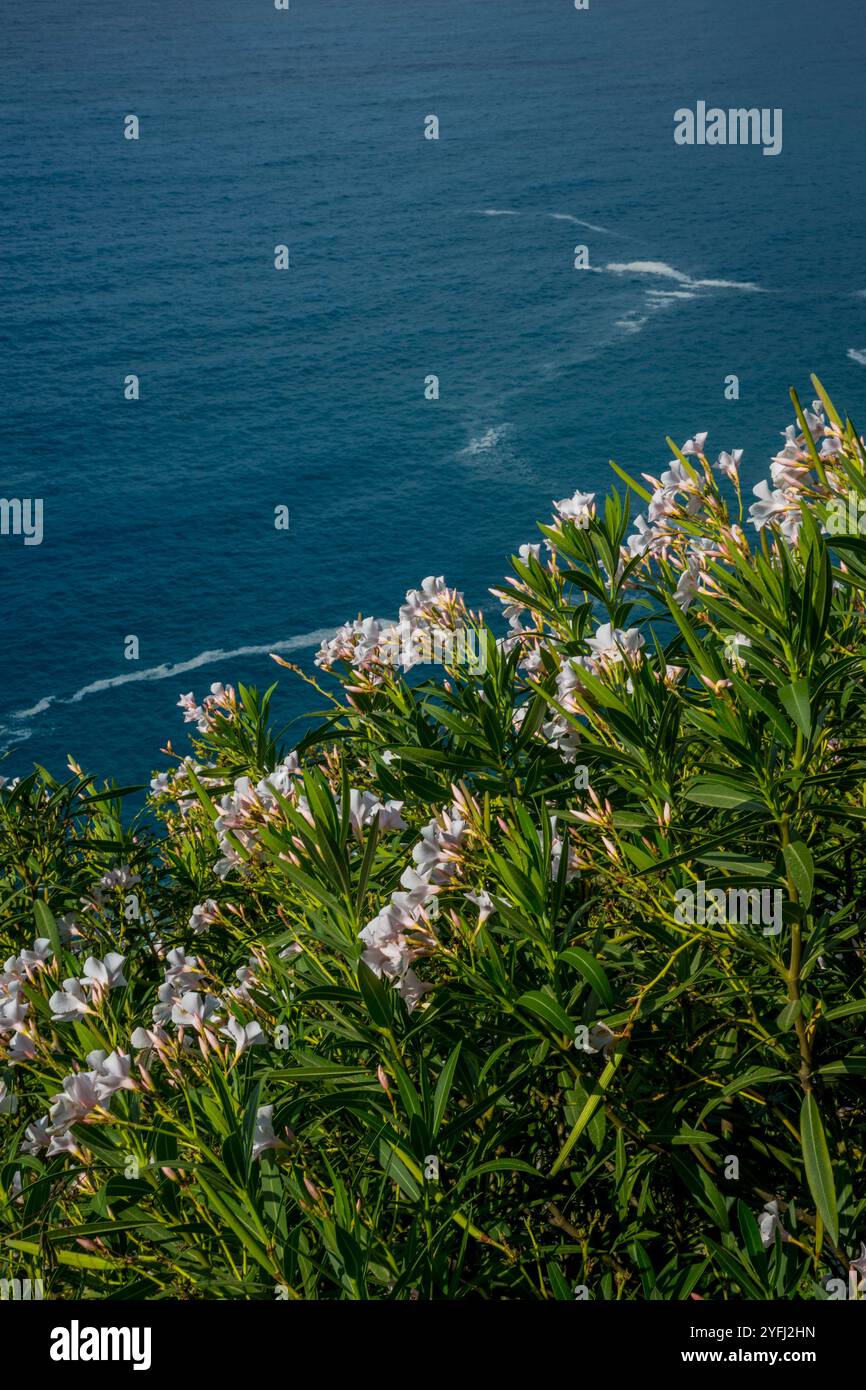 Part of a national trail hi-res stock photography and images - Alamy