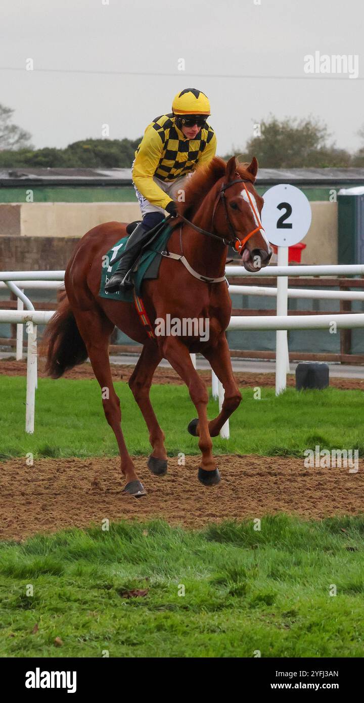 Down Royal Racecourse, Lisburn, Northern Ireland. 01 Nov 2024. The ...