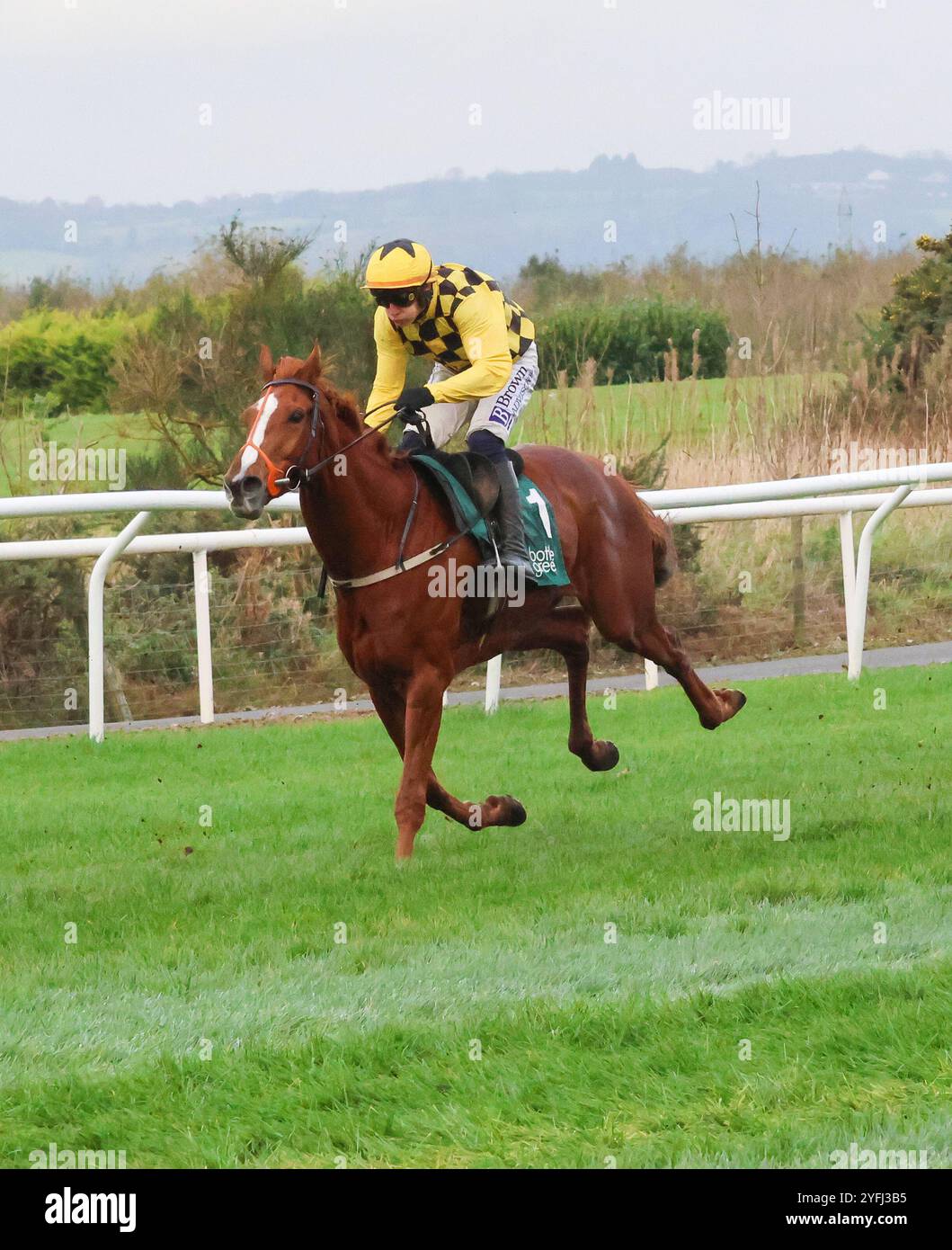Down Royal Racecourse, Lisburn, Northern Ireland. 01 Nov 2024. The ...