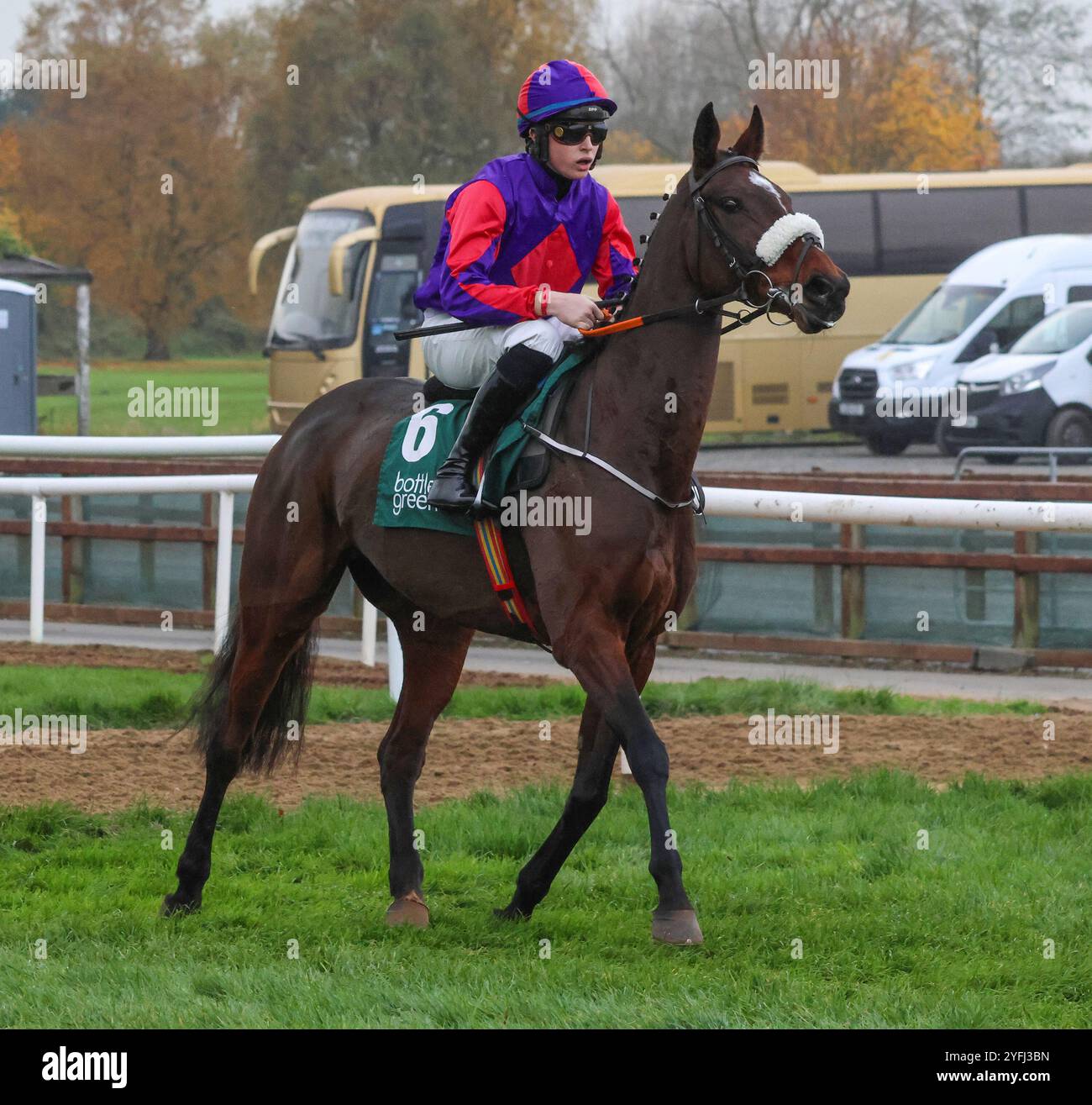 Down Royal Racecourse, Lisburn, Northern Ireland. 01 Nov 2024. The ...