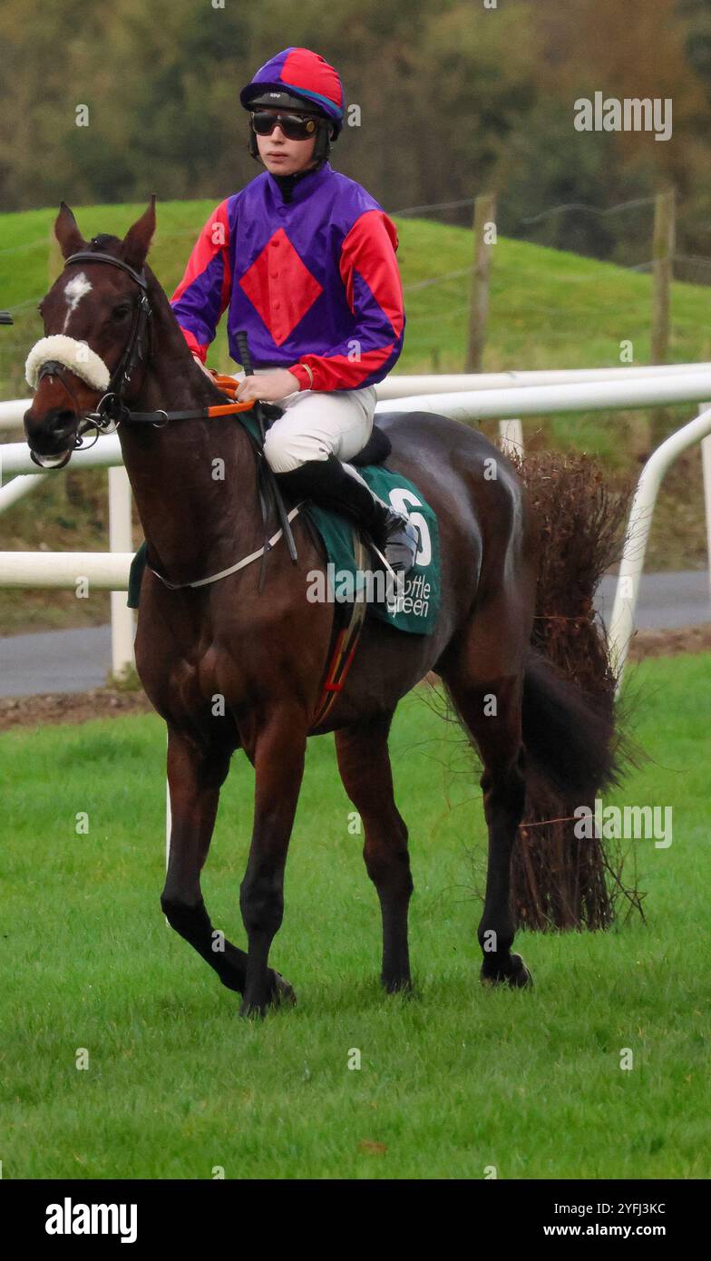 Down Royal Racecourse, Lisburn, Northern Ireland. 01 Nov 2024. The ...