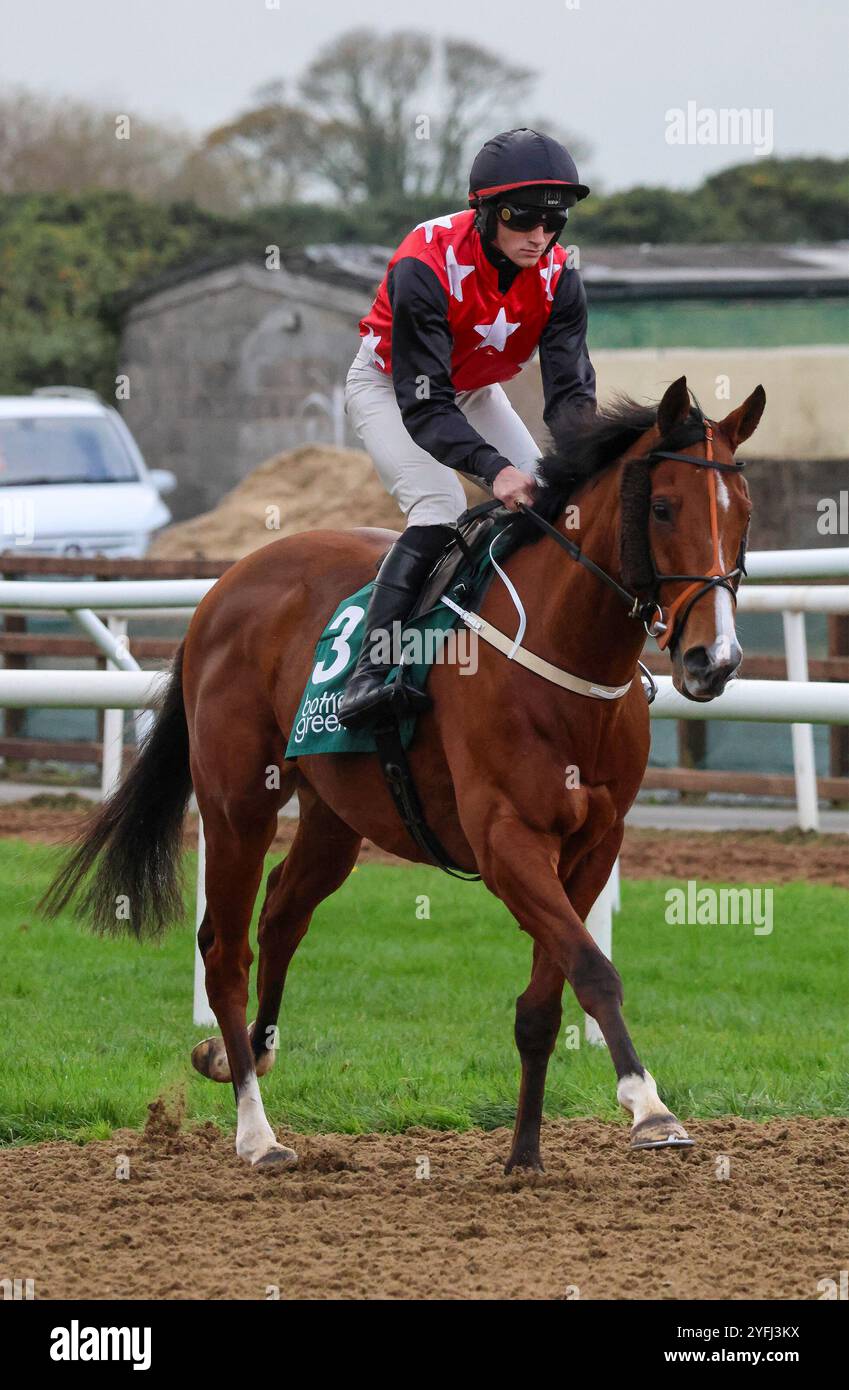 Down Royal Racecourse, Lisburn, Northern Ireland. 01 Nov 2024. The ...