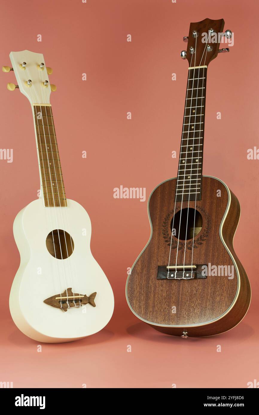 Ukulele. Hawaiian instrument that resembles a guitar but smaller in ...