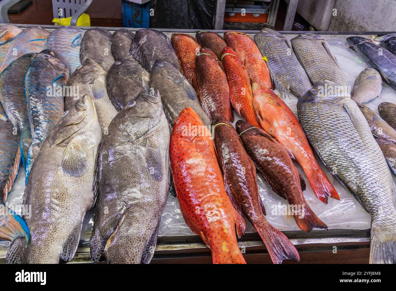 Fish stall in the Central Fish market in Jeddah, Saudi Arabia Stock ...