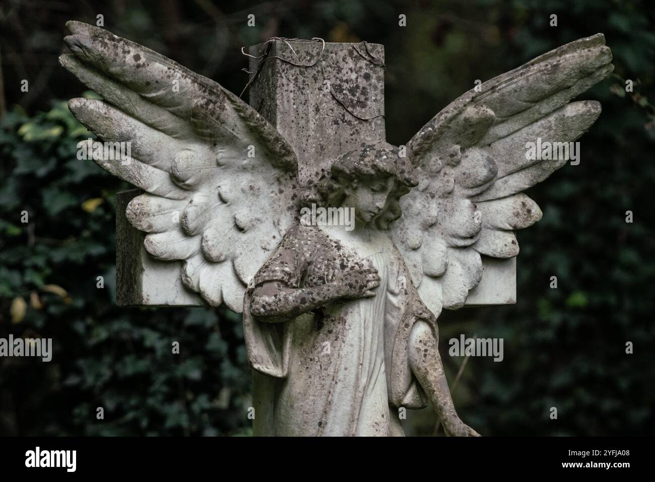 Abney Park cemetery is one of the "Magnificent Seven" cemeteries in ...