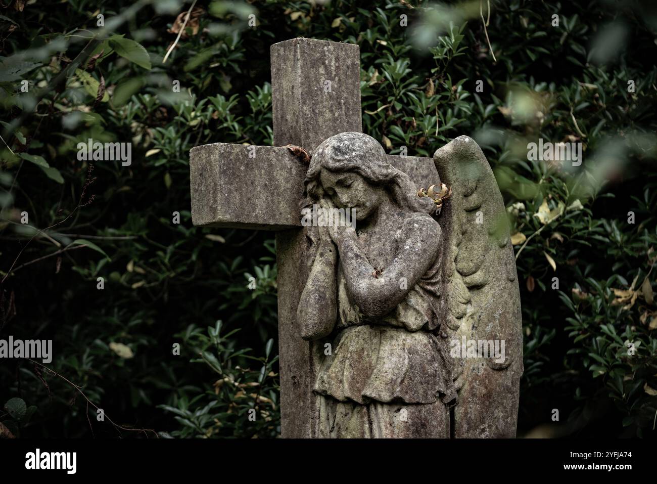Abney Park cemetery is one of the "Magnificent Seven" cemeteries in ...
