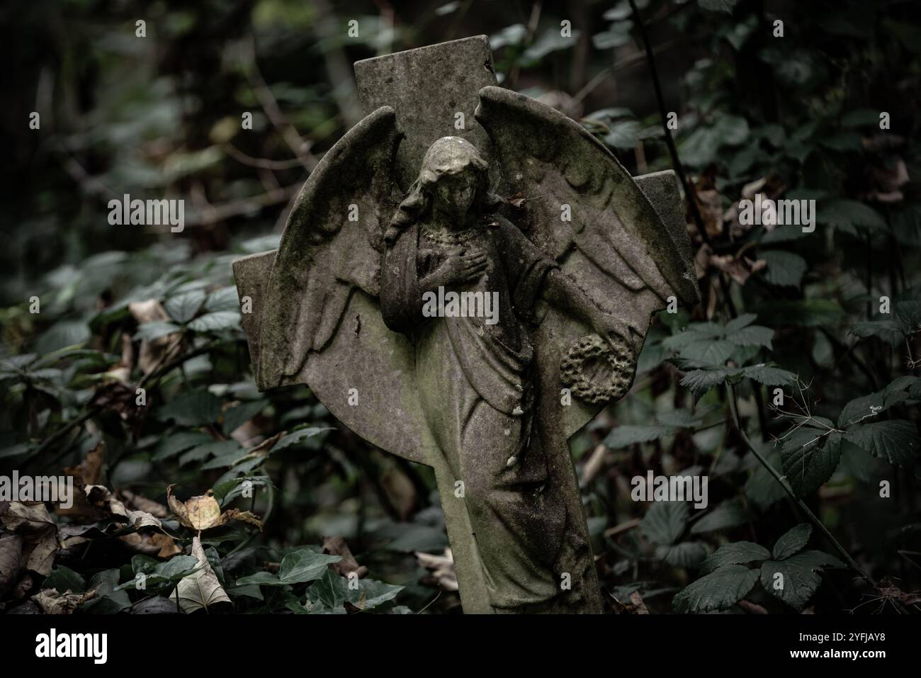 Abney Park cemetery is one of the "Magnificent Seven" cemeteries in ...