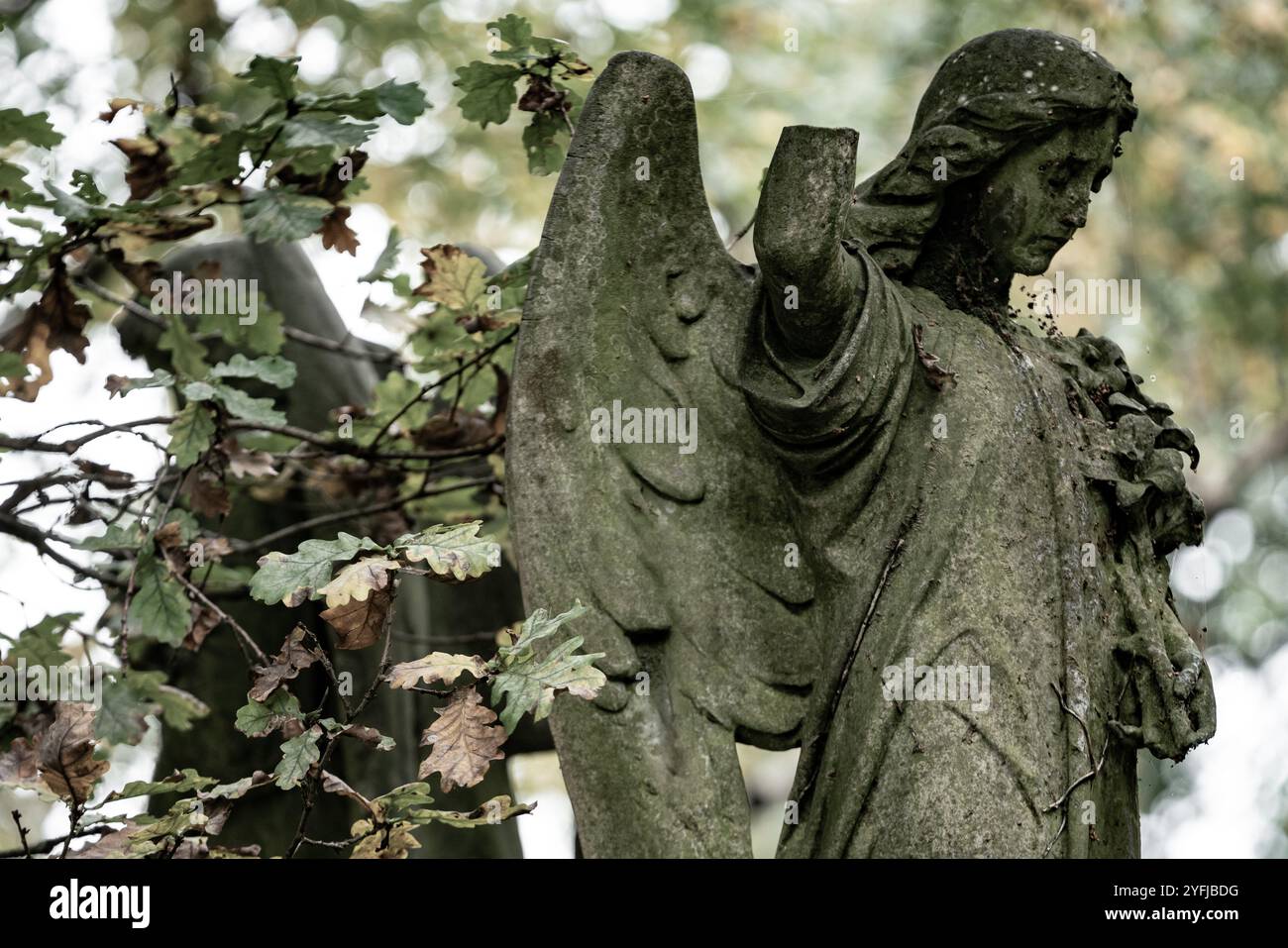 Abney Park cemetery is one of the "Magnificent Seven" cemeteries in ...