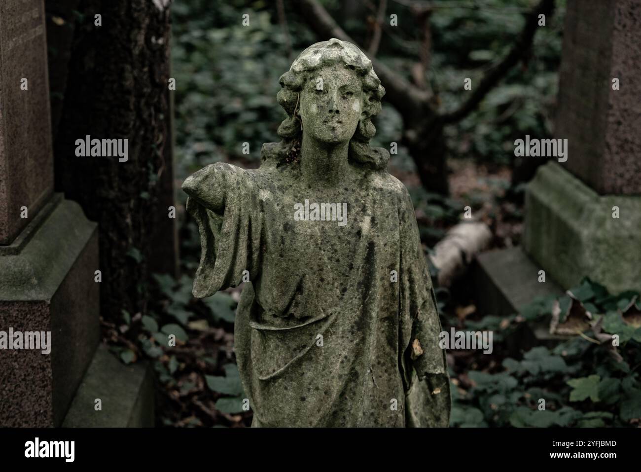 Abney Park cemetery is one of the "Magnificent Seven" cemeteries in ...