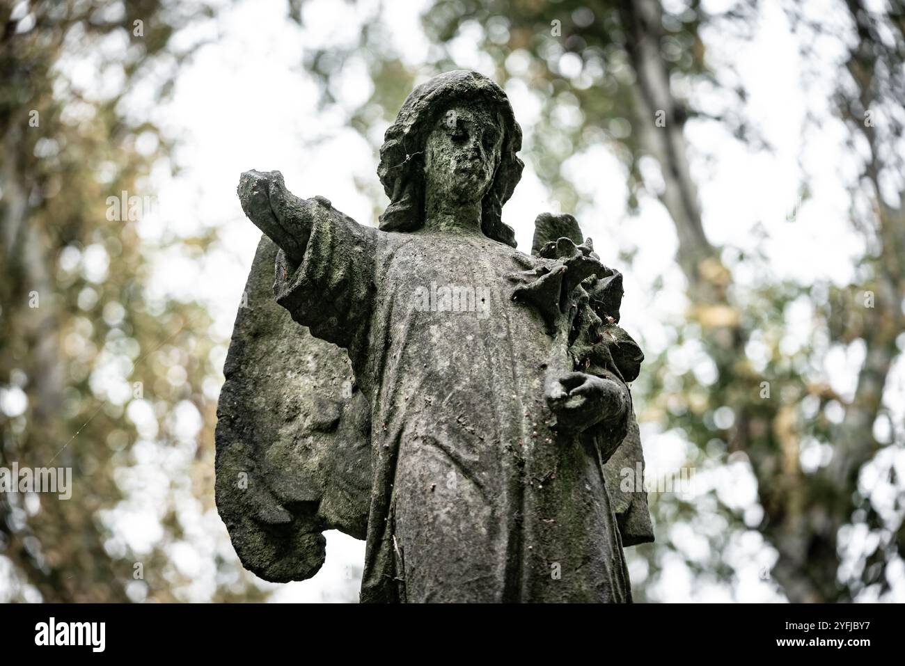 Abney Park cemetery is one of the "Magnificent Seven" cemeteries in ...