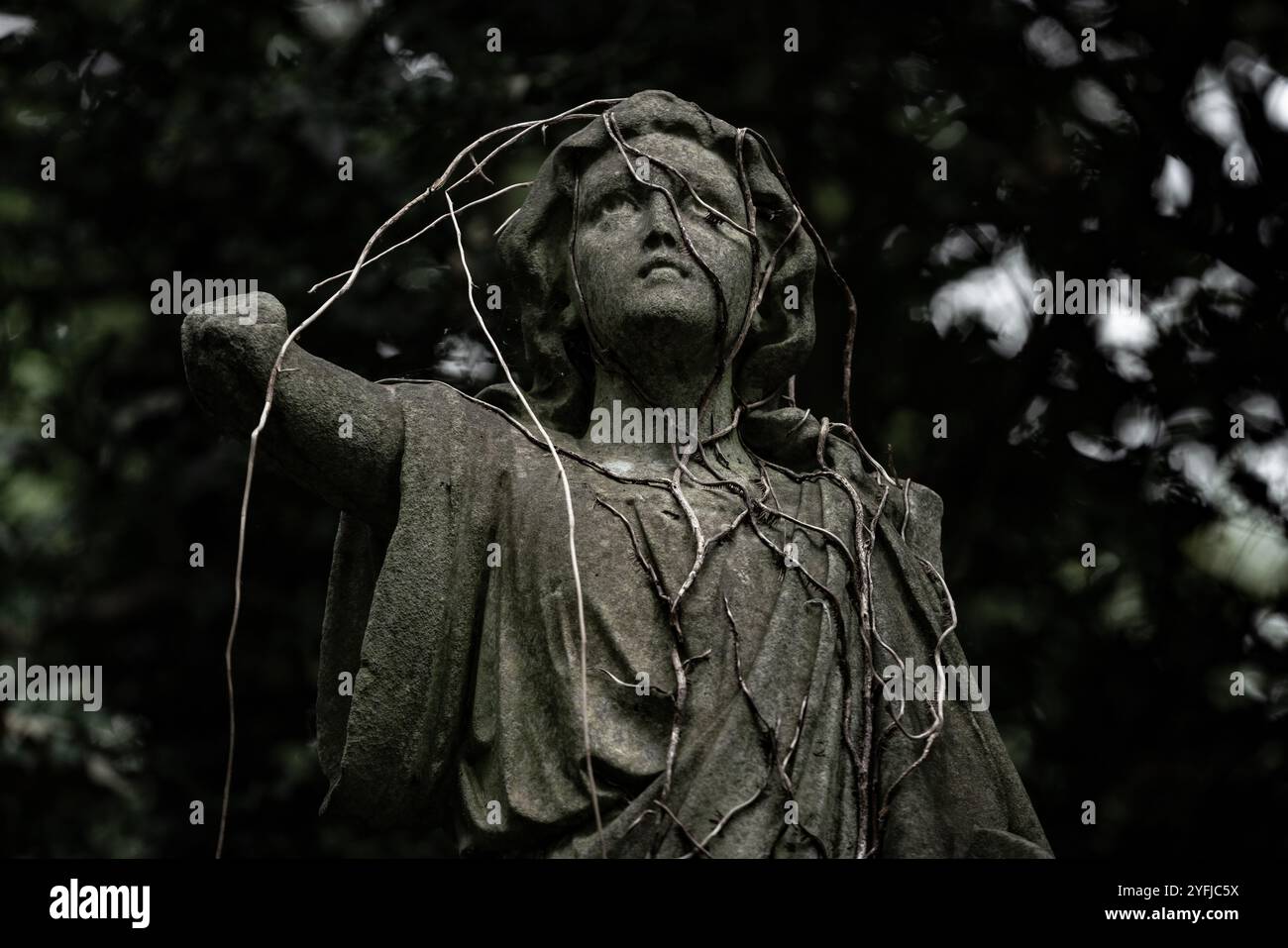 Abney Park cemetery is one of the "Magnificent Seven" cemeteries in ...