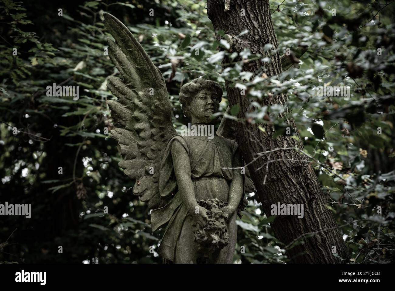 Abney Park cemetery is one of the "Magnificent Seven" cemeteries in ...