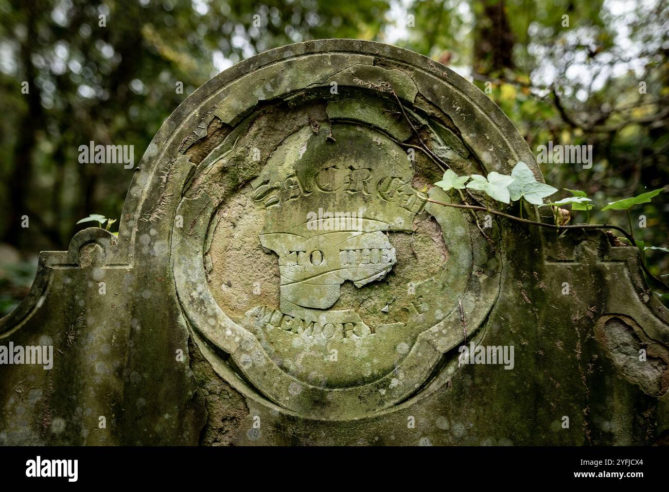 Abney Park cemetery is one of the "Magnificent Seven" cemeteries in ...