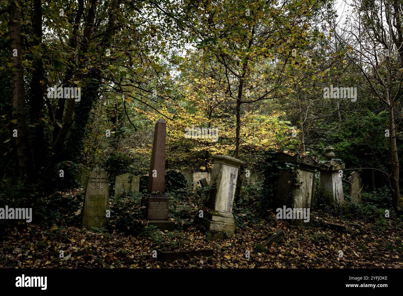 Abney Park cemetery is one of the "Magnificent Seven" cemeteries in ...
