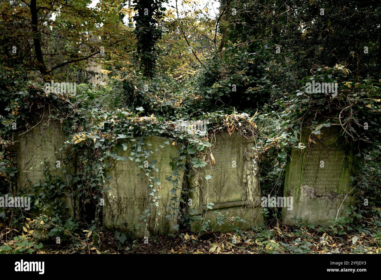 Abney Park cemetery is one of the "Magnificent Seven" cemeteries in ...