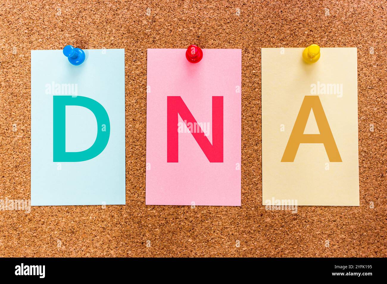 Conceptual 3 letters keyword DNA (Deoxyribonucleic Acid) on ...