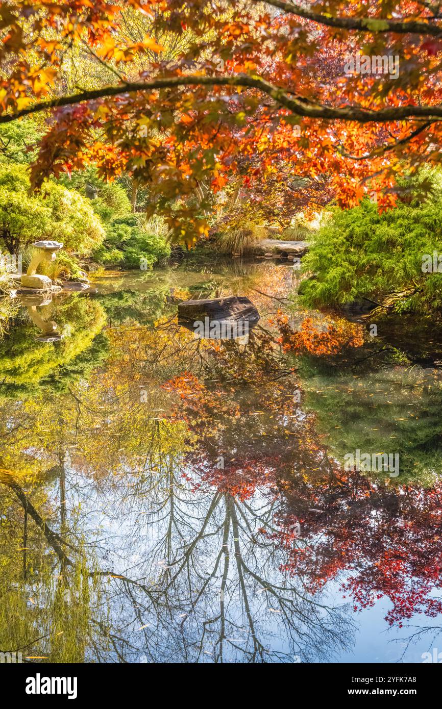 Japanese garden pond with colorful autumn foliage at world-class Gibbs ...