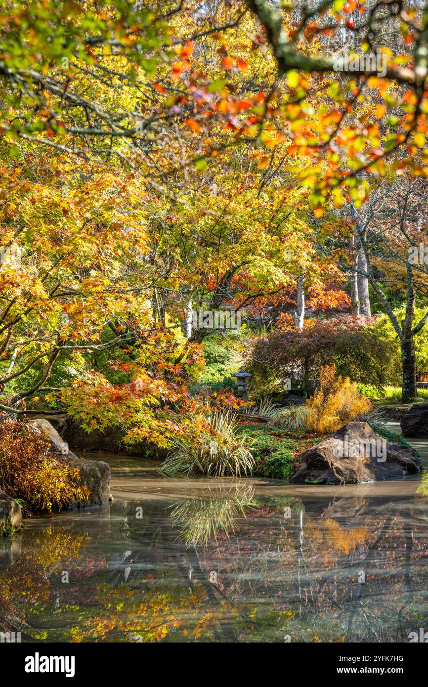 Japanese garden pond with colorful autumn foliage at world-class Gibbs ...