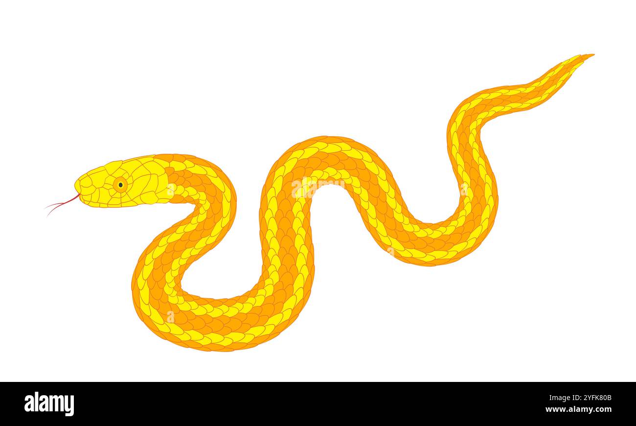 Cartoon pattern of a yellow snake Stock Vector Image & Art - Alamy