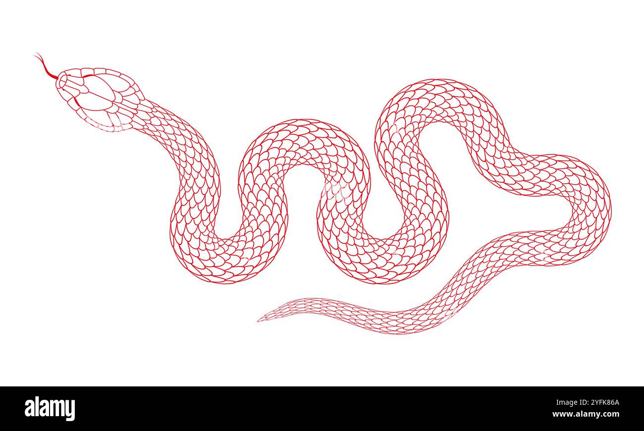 cartoon snake pattern with red line stroke Stock Vector Image & Art - Alamy