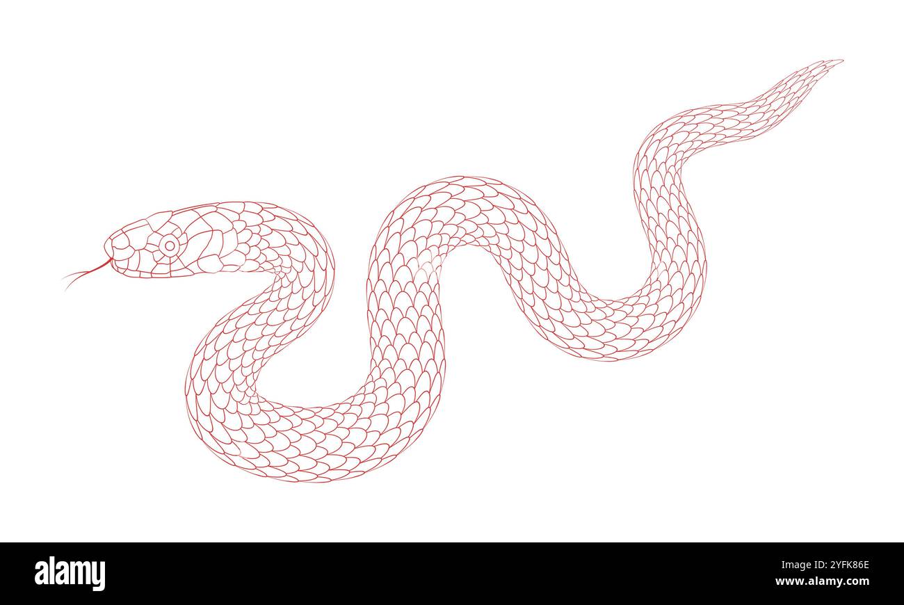cartoon snake pattern with red line stroke Stock Vector Image & Art - Alamy