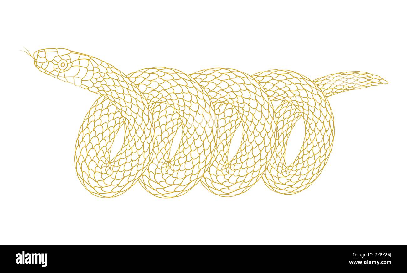 A simple cartoon snake illustration Stock Vector Image & Art - Alamy