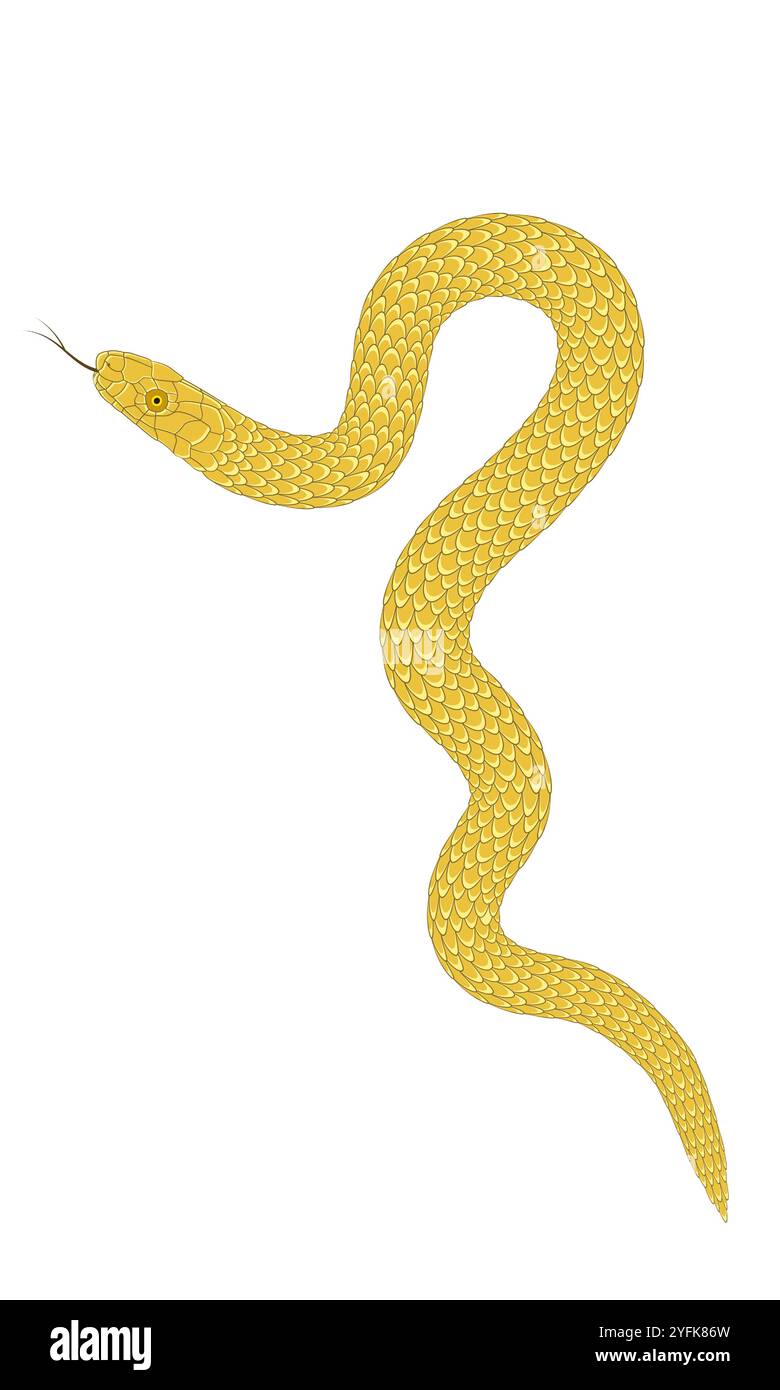 Yellow snake hi-res stock photography and images - Alamy
